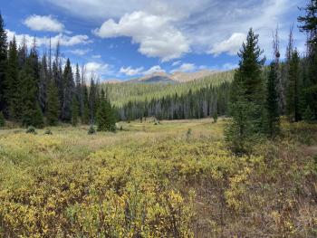Colorado State Forest: Adaptive Silviculture for Climate Change (ASCC ...