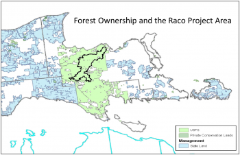 Hiawatha National Forest: Raco Project | Climate Change Response Framework