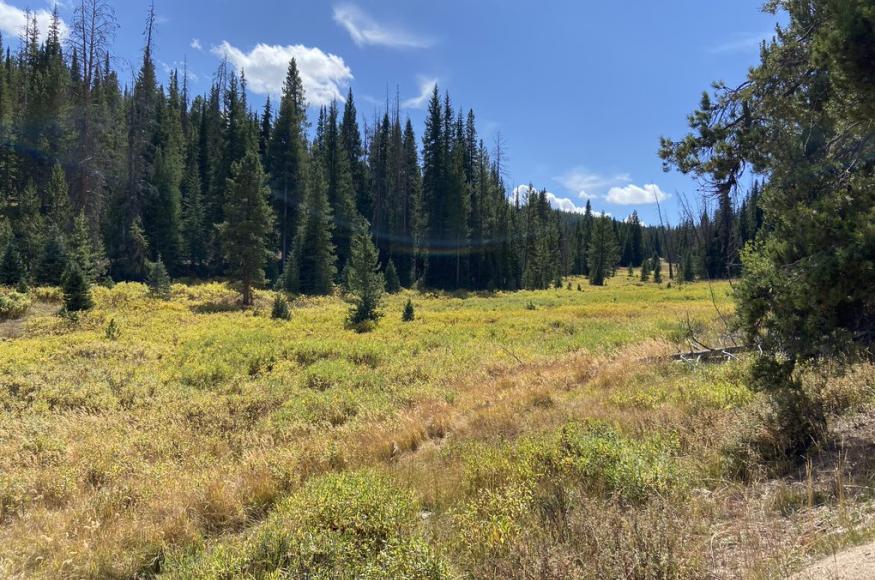 Colorado State Forest: Adaptive Silviculture for Climate Change (ASCC ...