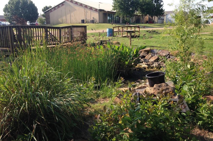 Iowa Tribe of Oklahoma: Wetland Habitat Restoration | Climate Change ...