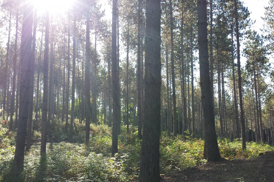 Marsh-Billings-Rockefeller National Historical Park: 200 Years and ...