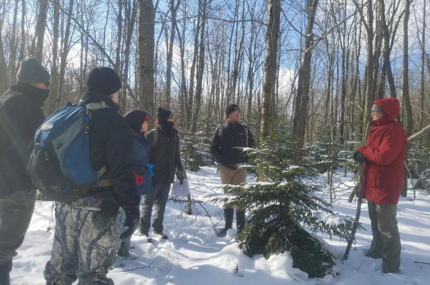 The Nature Conservancy: Maryland Chapter: Finzel Swamp | Climate Change ...